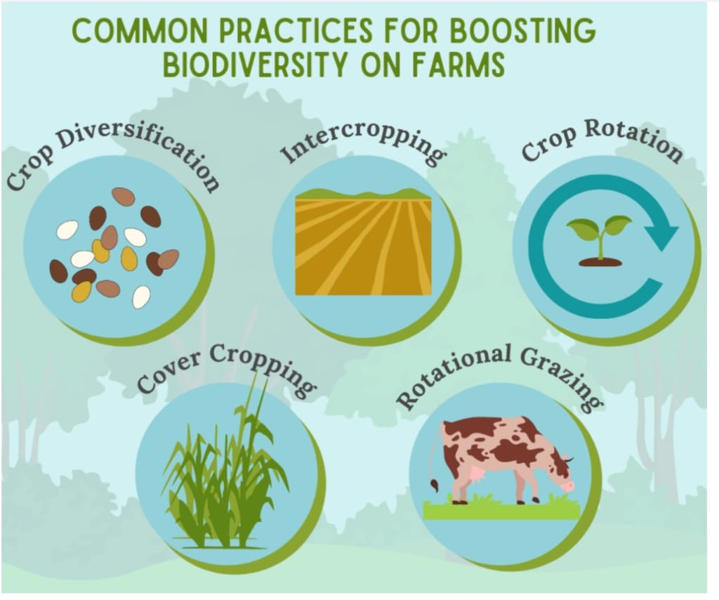 Revolutionizing Farming: Microbes, Markets, and Methods for a Greener ...