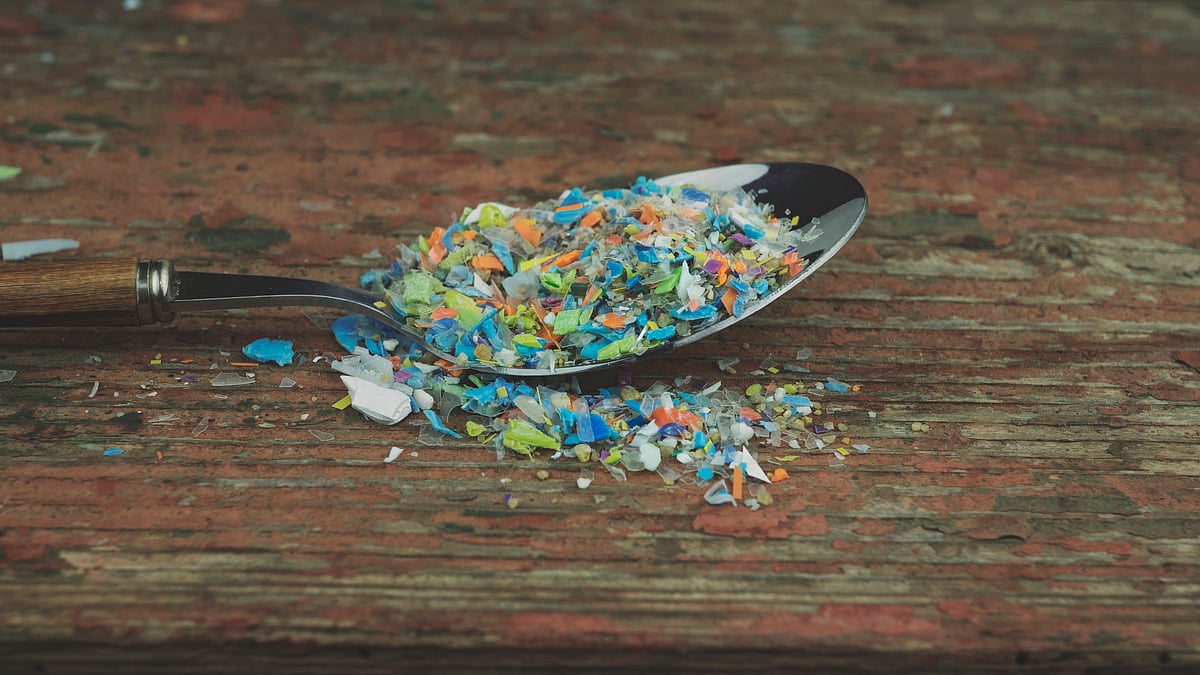 Study Reveals: Microplastics in Air Enter Plant Leaves, Impacting Food ...