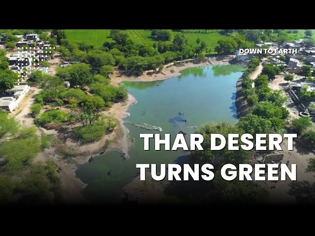 Unexpected Thar Desert Transformation: Vegetation Surges with Rising ...