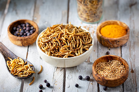 Discover Africa's Superfoods: From Teff to Insects, Nutrient Powerhouses