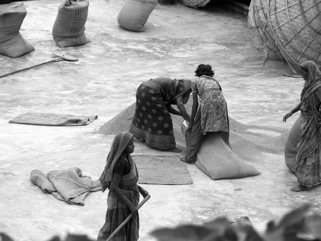 Bangladesh's Bamboo Bins: Sustainable Paddy Storage Reflects Agrarian ...