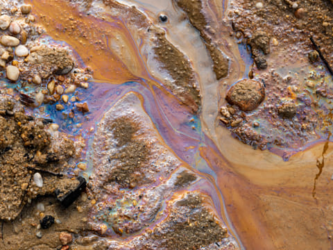 Global Agricultural Land Crisis: 242 Million Hectares Polluted by Toxic ...