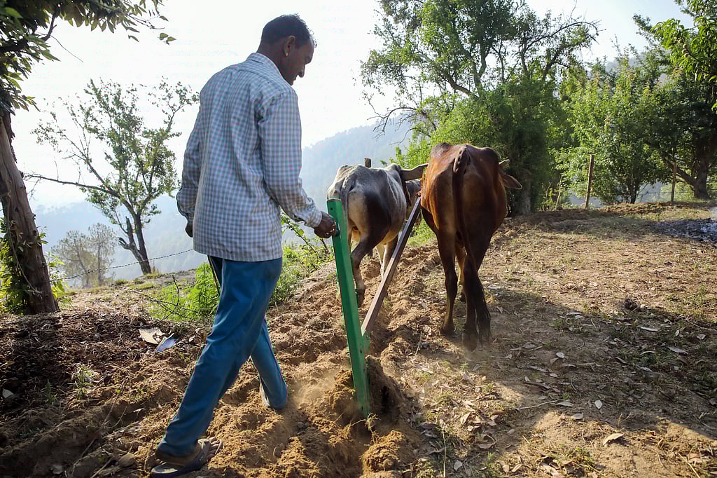 Uttarakhand Farmers' Shift: Iron Ploughs Combat Deforestation