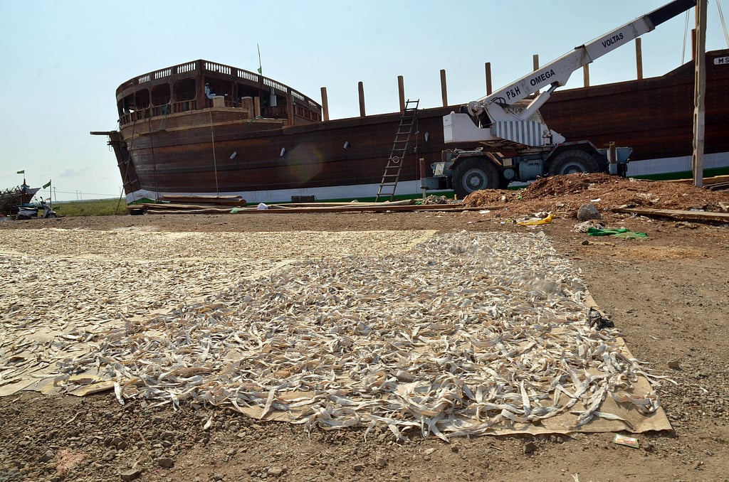 Salaya's Dried Fish Heritage: Tradition Meets Modern Challenges