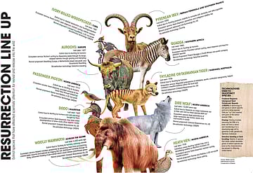 Infographic Insight: Resurrection Line-Up in Down To Earth