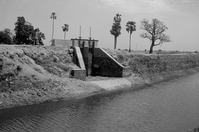 Reviving Ahar-Pyne: Ancient Water System Boosts Bihar Agriculture