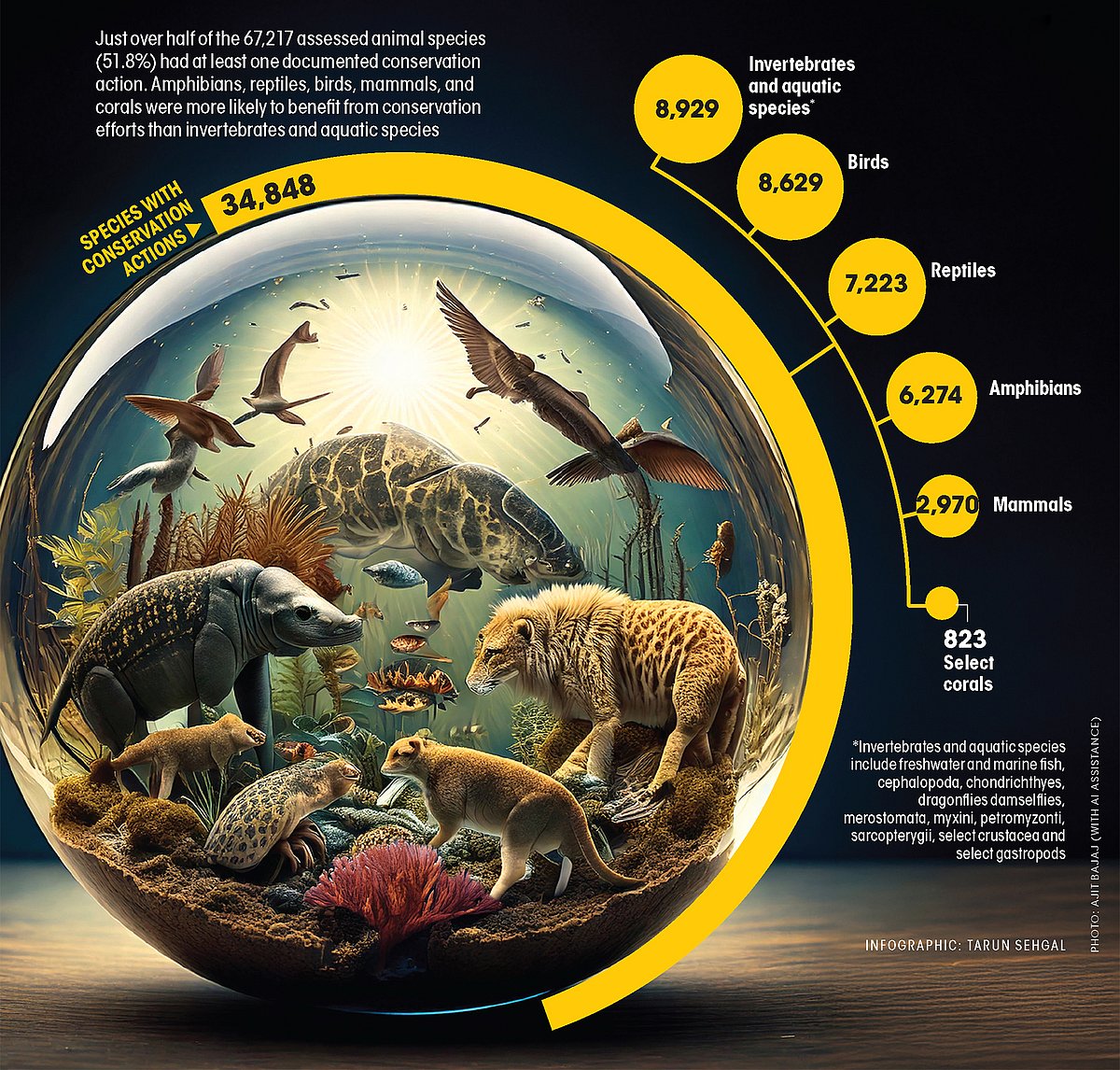 Conservation Insights: Lessons from Down To Earth May 2025 Edition