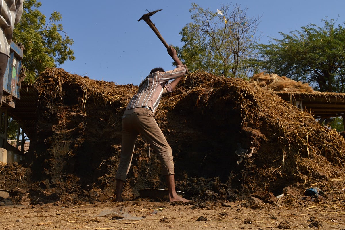 MoPNG's CBG Price Boost: Enhancing Green Energy Viability in India