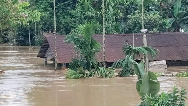 Assam Flood Crisis: 500,000 Face Homelessness Amid Dam Water Release