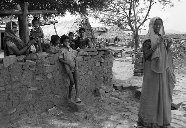 Sahariya Displacement: Impact of Cheetah Reintroduction in Kuno Sanctuary