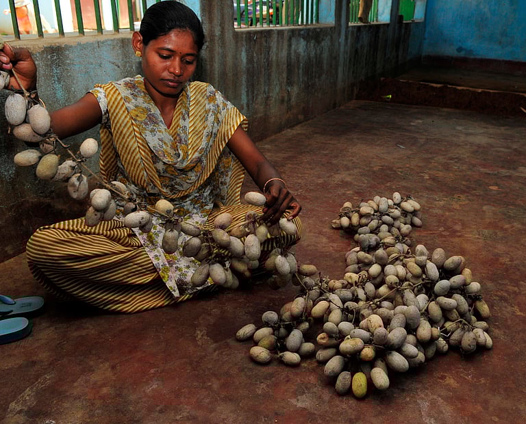 Wild Silk Traditions: Tasar Silk Weaving Empowers Jharkhand Tribes
