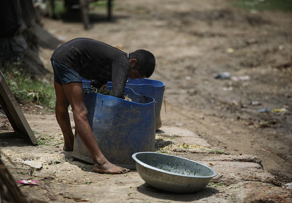 Collective Action: Ending Child Labour in Kaushambi for a Brighter Future