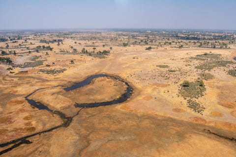 Global Restoration: Combatting Desertification and Drought for Trillion ...