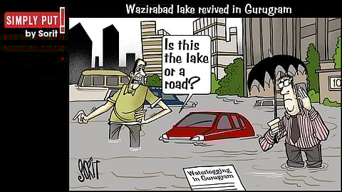 Environmental Dilemma: Lake Preservation vs. Road Development