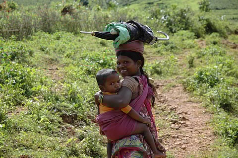 Supreme Court Impact: Forest Rights Act's Challenges for Tribal Communities