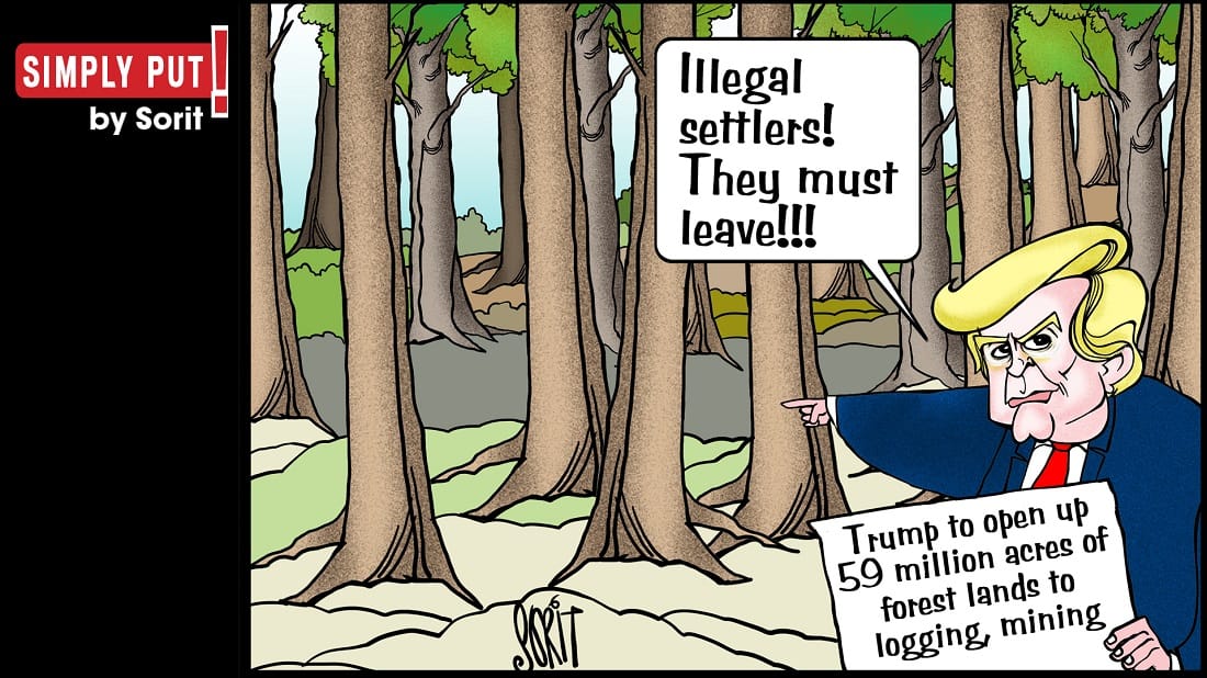 Exploring Trump: The Impact of His Policies on America's Forests