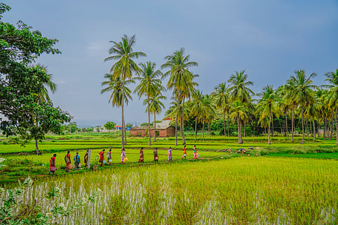 Revitalising Villages: Sustainable Future Hinges on Rural Economies