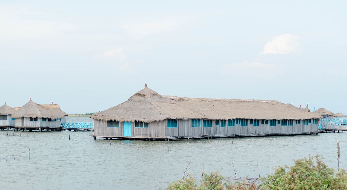 Ghana Health Alert: Keta Lagoon Fish Contaminated with Heavy Metals ...