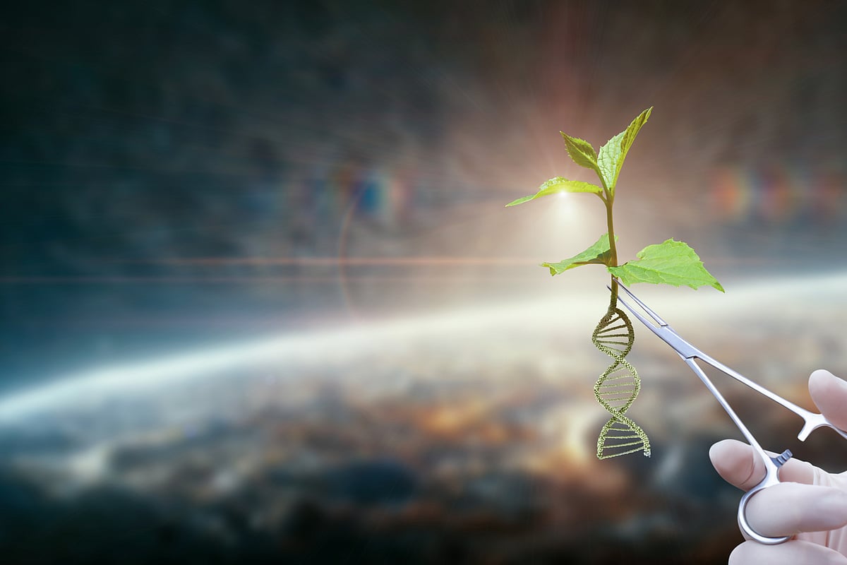 Synthetic Biology Debate: IUCN Congress to Decide on Genetic Tools in ...