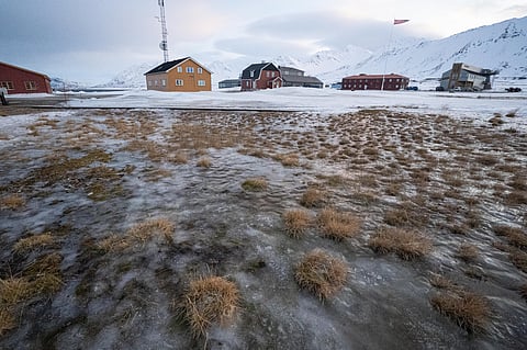 Arctic Winter Shift: Svalbard's Warming Threatens Ecosystem Balance