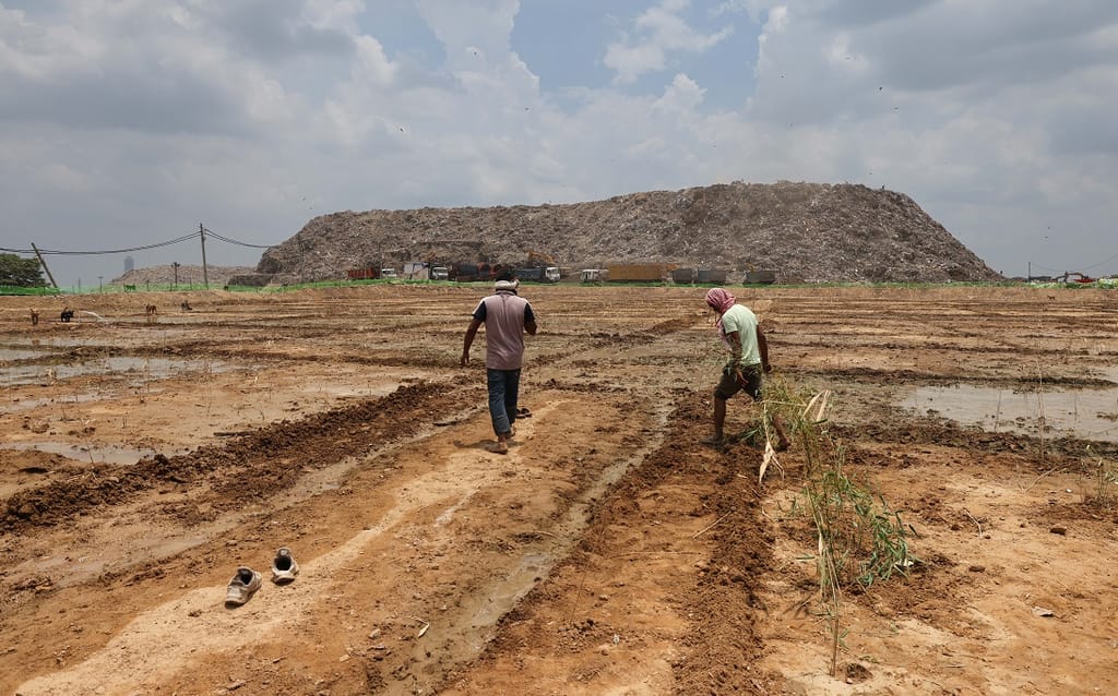 Delhi's Eco Initiative: Bamboo Planting at Okhla Landfill