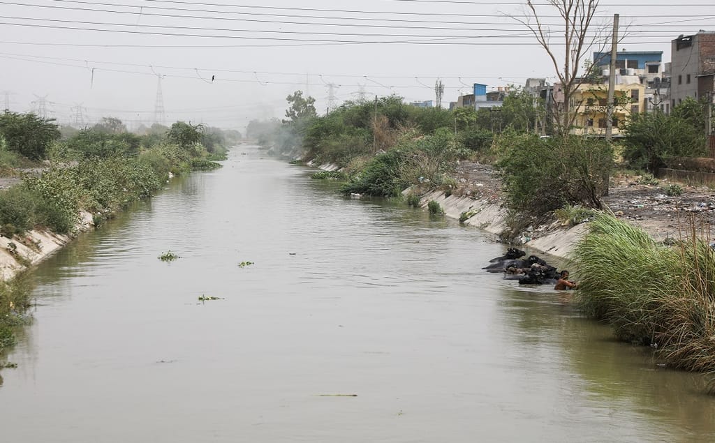 Munak Canal Project: Delhi's Green Cost for Elevated Corridor Revamp