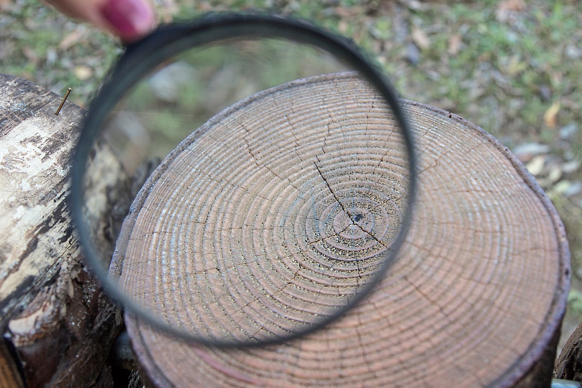 Innovative Biodiversity Tracking: eDNA and Global Databases ...