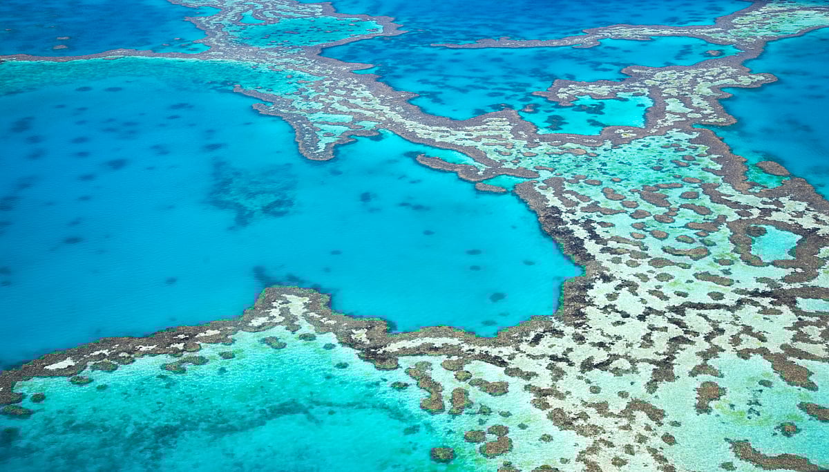 Climate change drives sharpest Great Barrier Reef coral loss in nearly ...