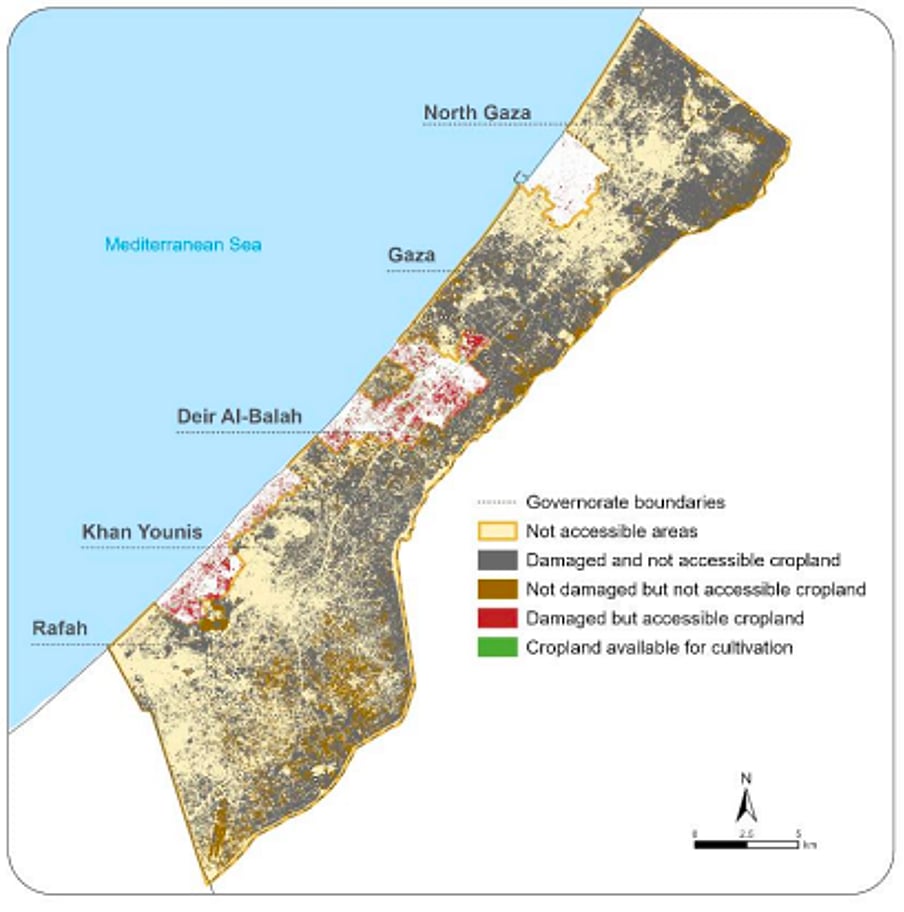 Gaza Famine Alert: UN Reports 98% Cropland Damaged, Food Crisis Looms
