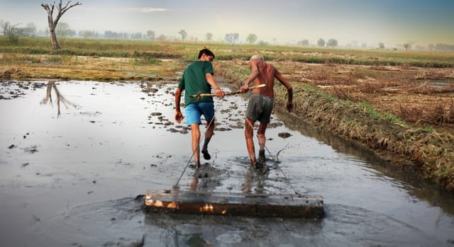 Global Farming Crisis: Decline in Farms and Ageing Farmers Threaten ...
