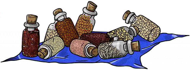 Gobar Times Insight: Unveiling the Power of a Seed in Rural India