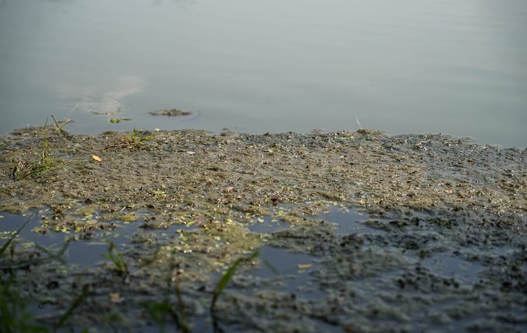 Monsoon Magic: Sahibi River Brims Over in Delhi's Outskirts