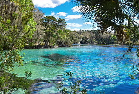 Florida Springs Crisis: Restoring 1,100 Threatened Natural Springs