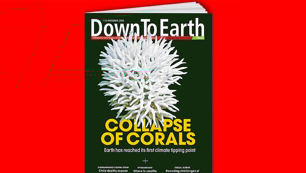 Coral Crisis: Scientists Battle to Save Fading Reefs Amid Warming Seas