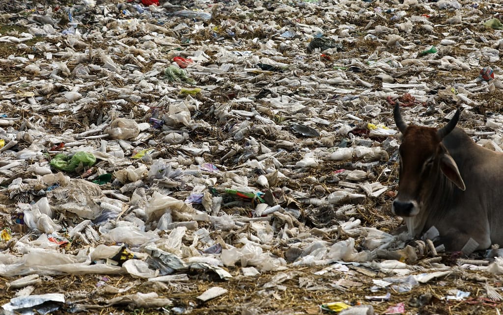 Delhi's Plastic Crisis: Single-Use Ban Struggles Amid Overflow
