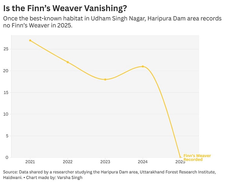 Extinction Crisis: Finn’s Weaver Vanishes from Terai’s Marshlands in ...