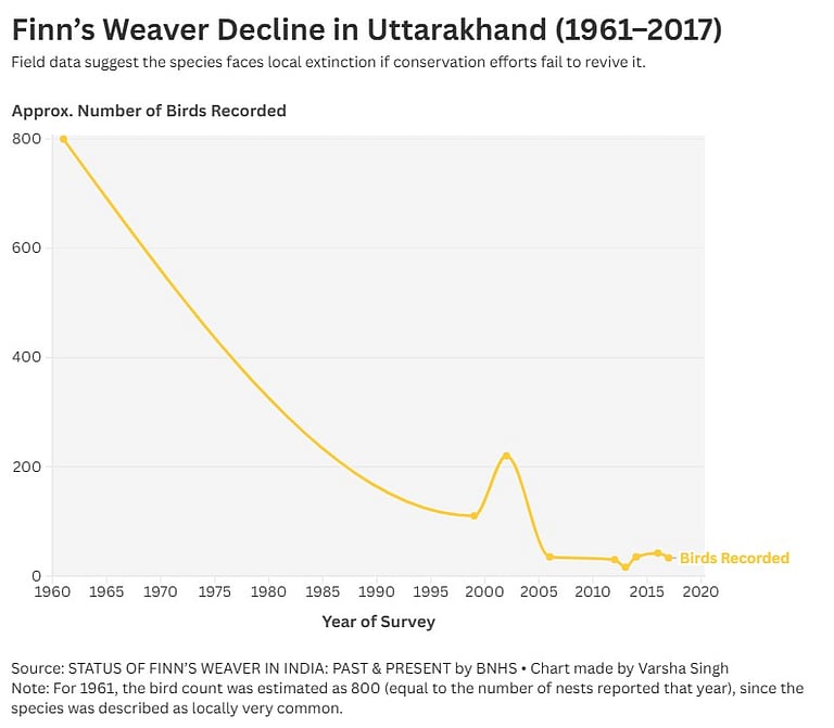 Extinction Crisis: Finn’s Weaver Vanishes from Terai’s Marshlands in ...