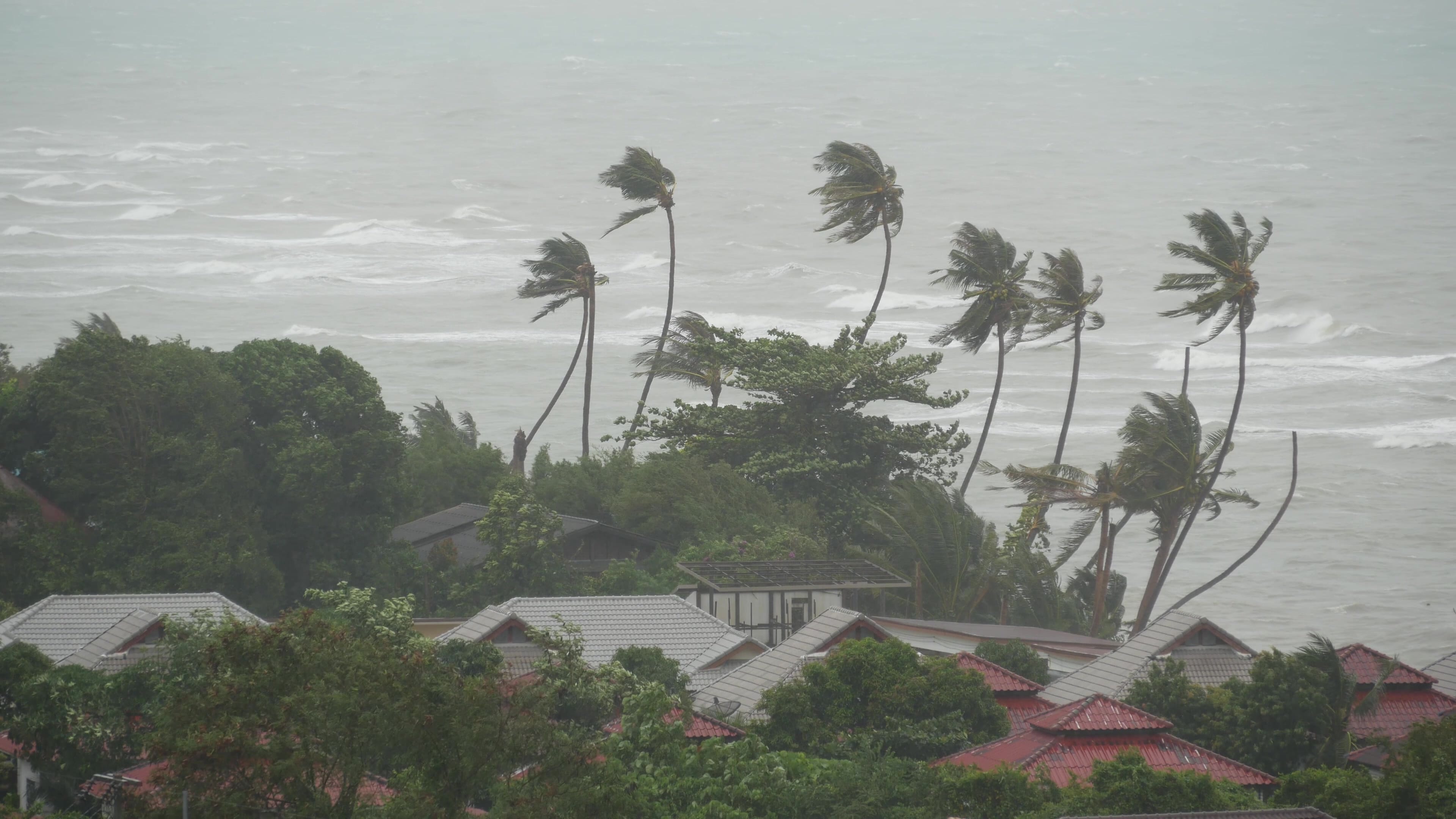 Equatorial Cyclone Crisis: Rare Storms Bring Deadly Floods Across ...