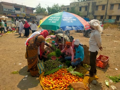 Marathwada Natural Farming Success: 10 Gunthas Yield Six-Figure Income ...