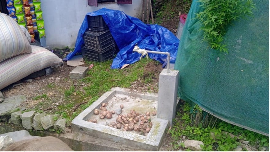 Himalayan Spring Revival: Kolbong's Community-Led Water Success