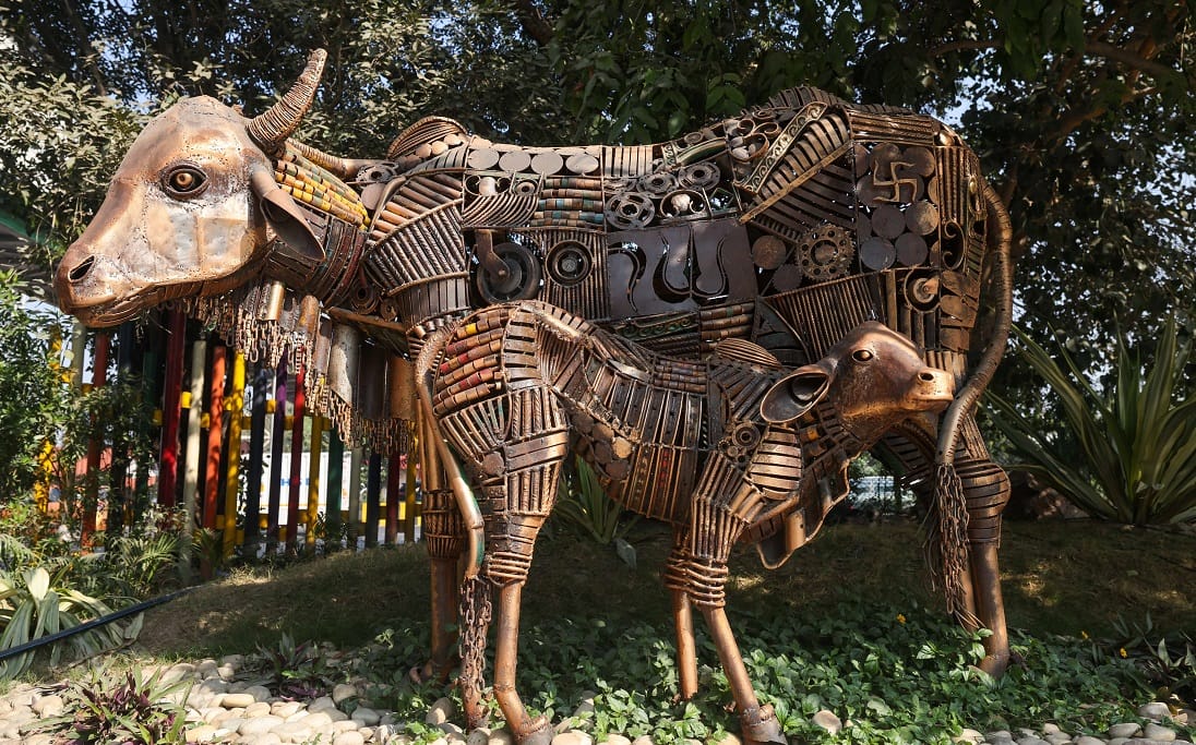 Noida's Green Initiative: Jungle Trail Park Promotes Sustainability