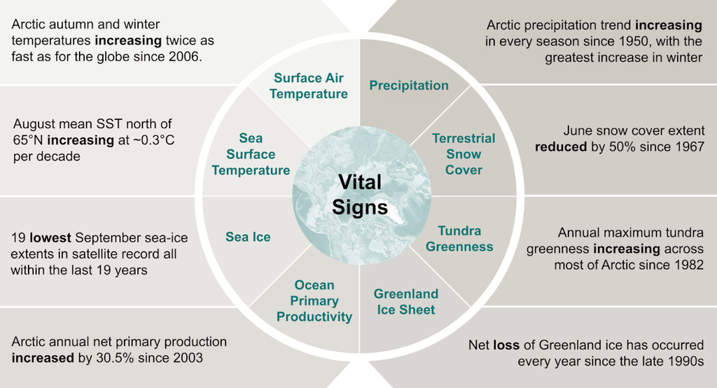 Arctic Transformation: 2025 Report Card Reveals Rapid Climate Change