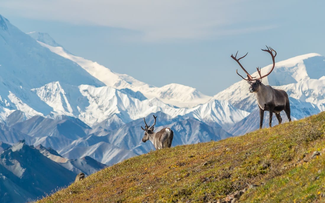 Tundra Wildfires: Arctic Alaska Sees Unprecedented Fire Activity in ...