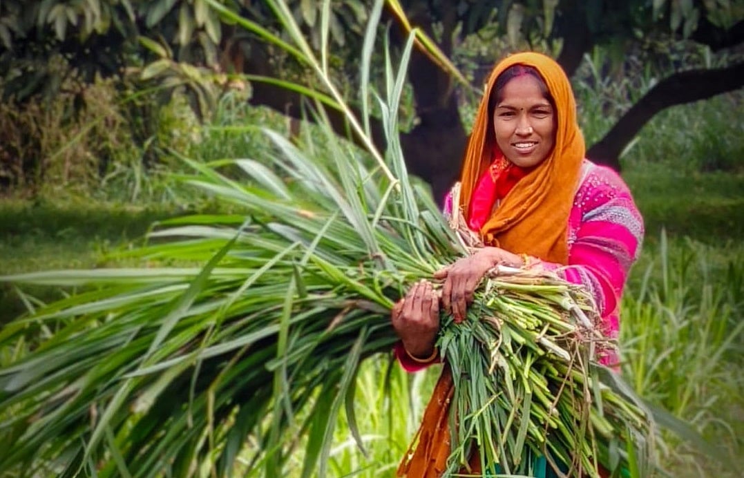Bihar Women Lead: Transforming Rural Value Chains as Co-Creators