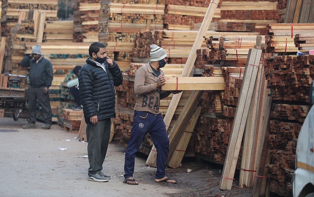India's Timber Trade: Balancing Production and Consumption Challenges