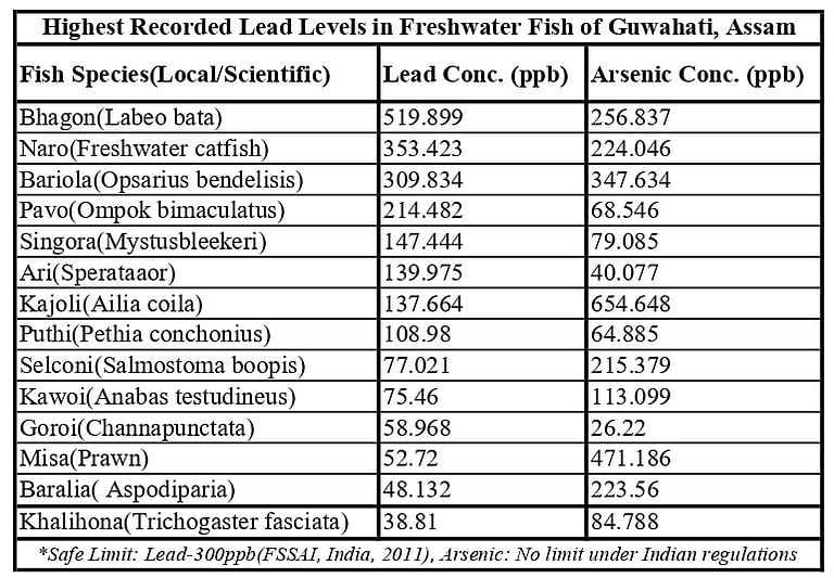 Toxic Metals in Guwahati Fish: A Public Health Crisis Unfolds