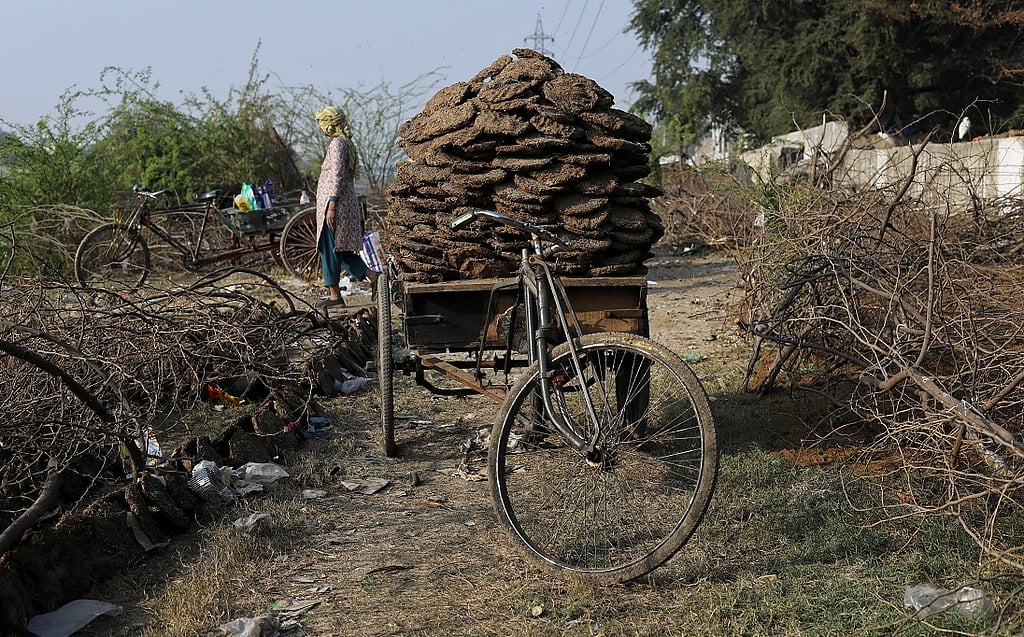 Exploring the Use of Cow Dung Cakes in Urban Delhi: Tradition vs ...