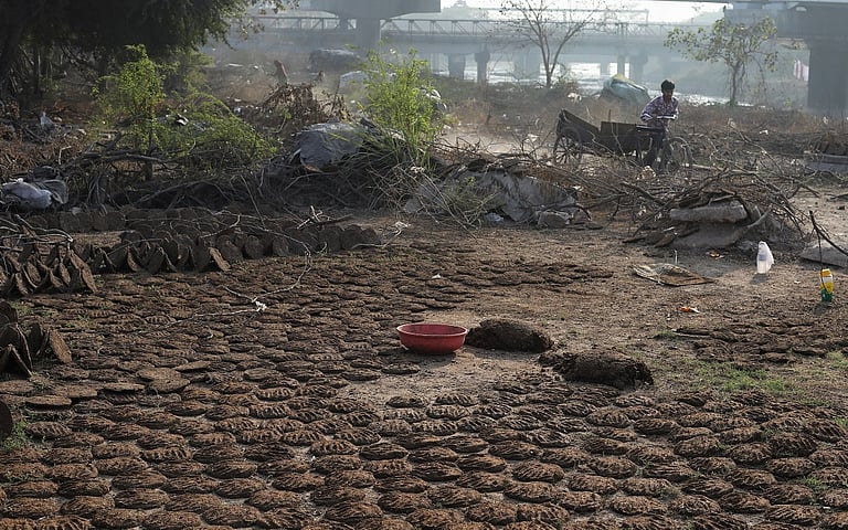 Exploring the Use of Cow Dung Cakes in Urban Delhi: Tradition vs ...
