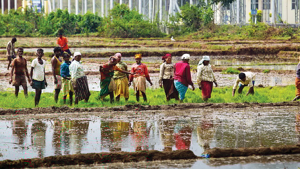 Invisible Employer: The Hidden Crisis of Groundwater and Rural Labor in ...