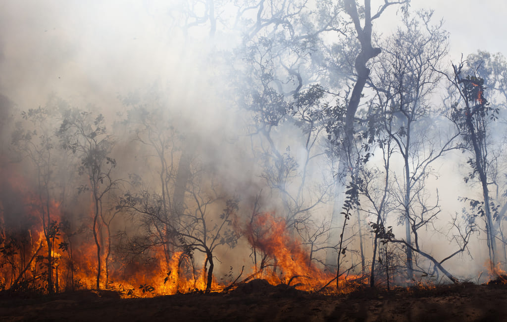 Australia's January Heatwave: Climate Change Made It Five Times More Likely